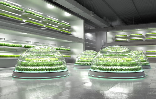 Smart Shelf Technology Transforming Retail Warehouse Optimization